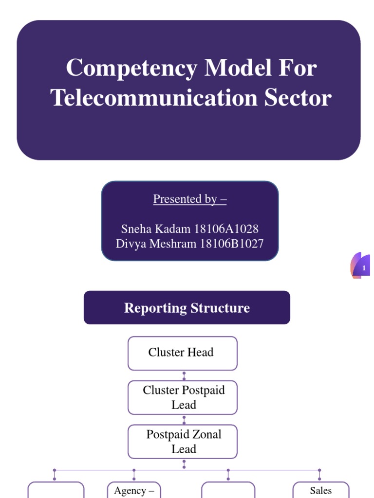 Competency Model for Telecom Roles | PDF