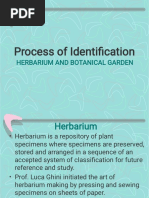 Herbarium Preparation and Plant Collection | PDF | Botany | Plants