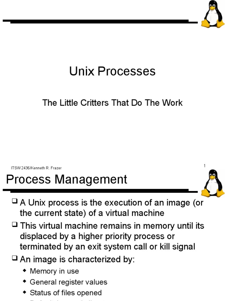 Unix Processes: The Little Critters That Do The Work | PDF | Process (Computing) | Computer Data ...