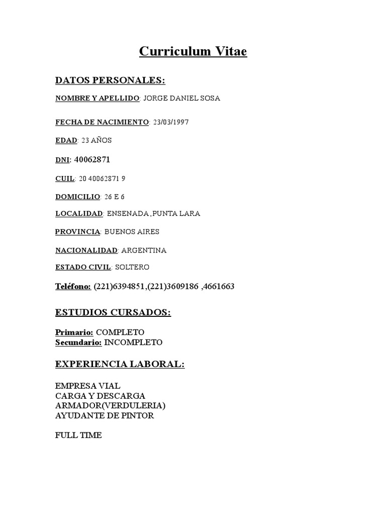 Copia de Curriculum Vitae en Blanco | PDF