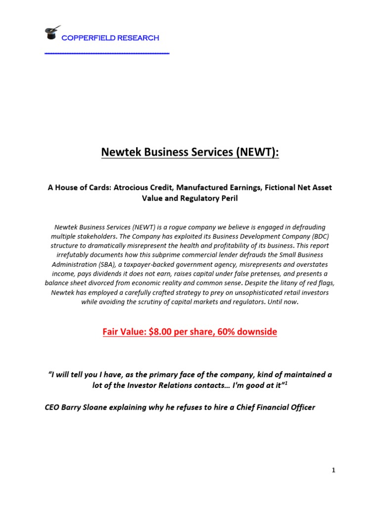 Newtek Business Services Part I | PDF | Business | Finance & Money ...