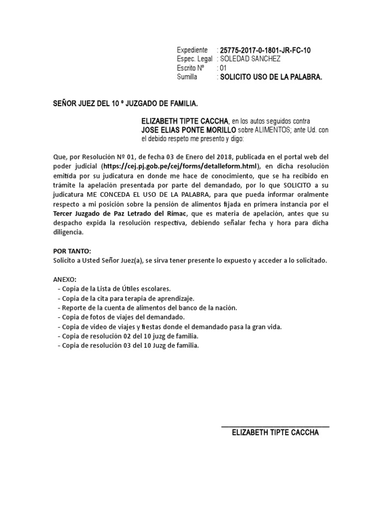 INFORME ORAL - Solicito Uso de La Palabra - Elizabeth | PDF