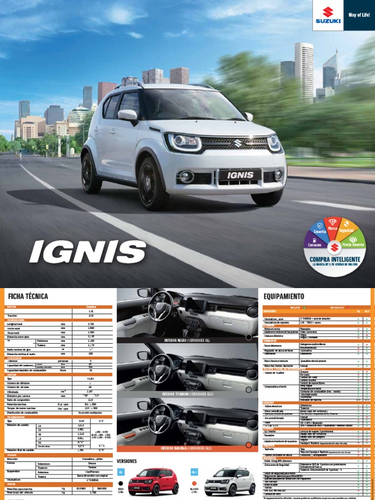 Ficha Ignis Agosto 2019 | PDF
