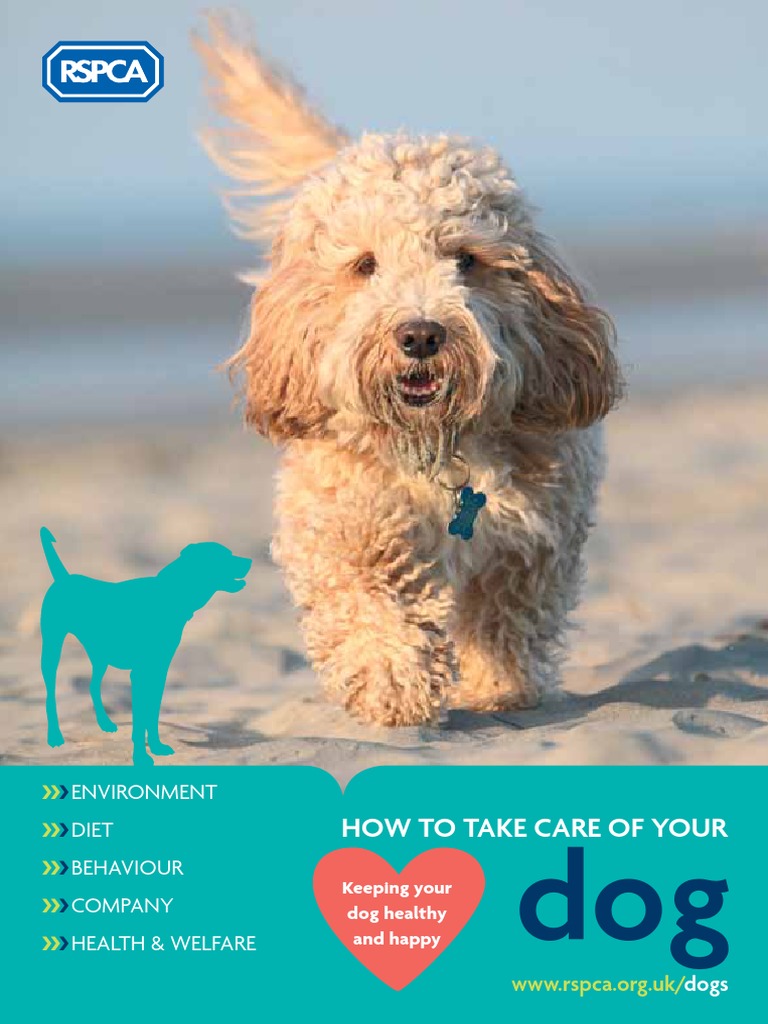 Dog - How To Take Care of Your Dog Booklet - Secure | PDF | Animal ...