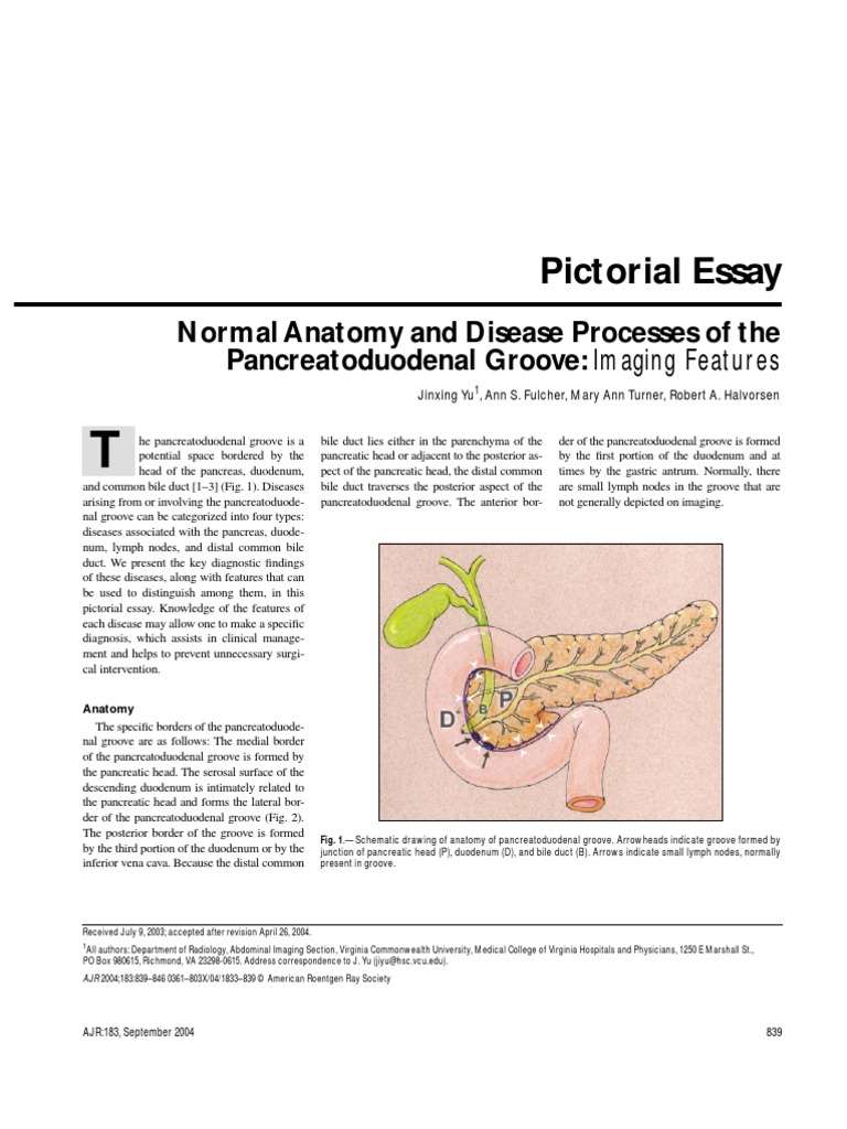 Pictorial Essay: Normal Anatomy and Disease Processes of The ...