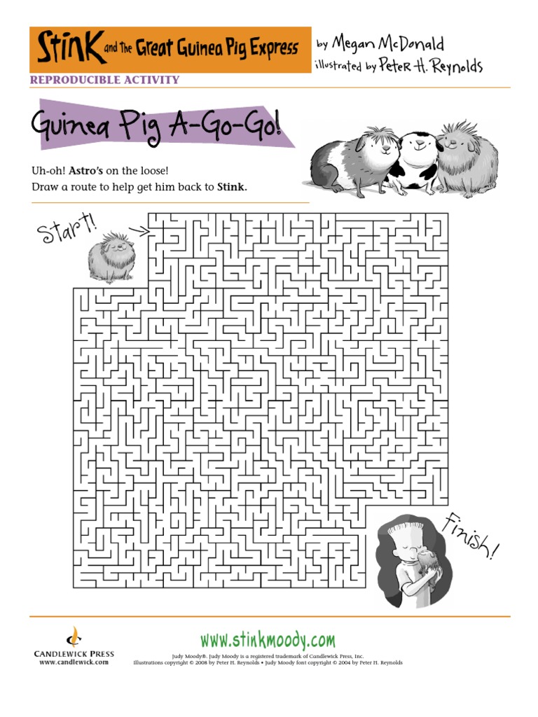 Stink Activity Kit | PDF | Business