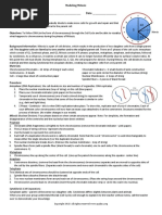 Modeling Meiosis Mitosis Lab With Clay | PDF | Meiosis | Mitosis