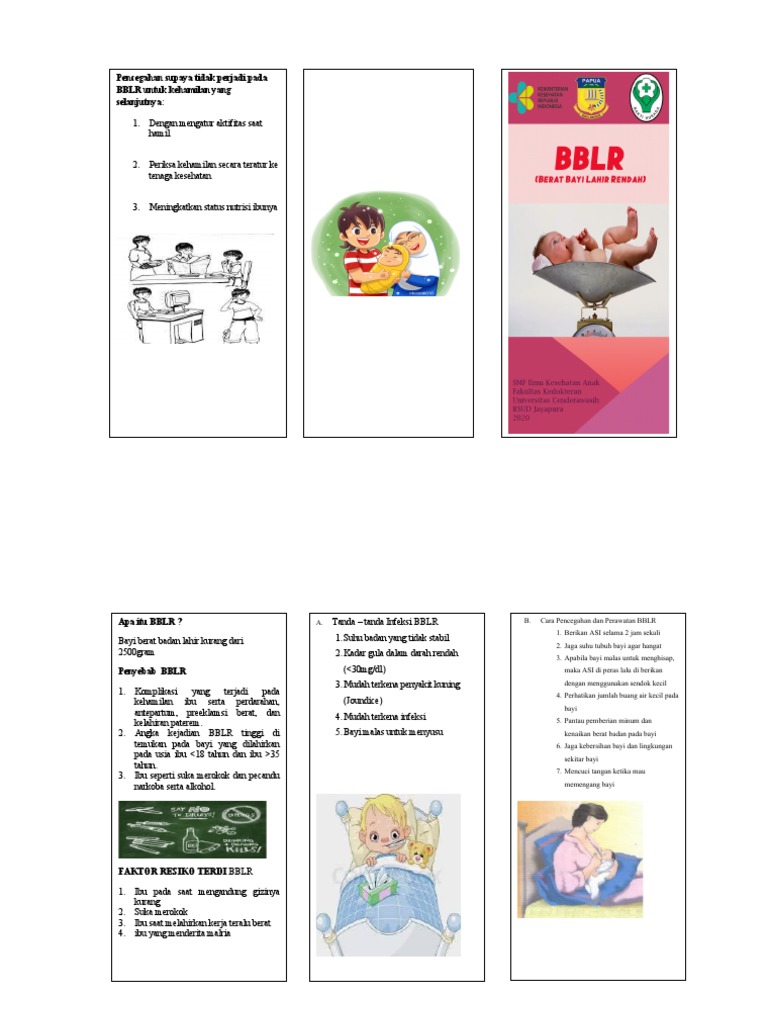 Leaflet BBLR | PDF