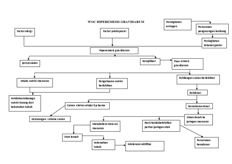 Pathway Hiperemesis Grvidarum | PDF