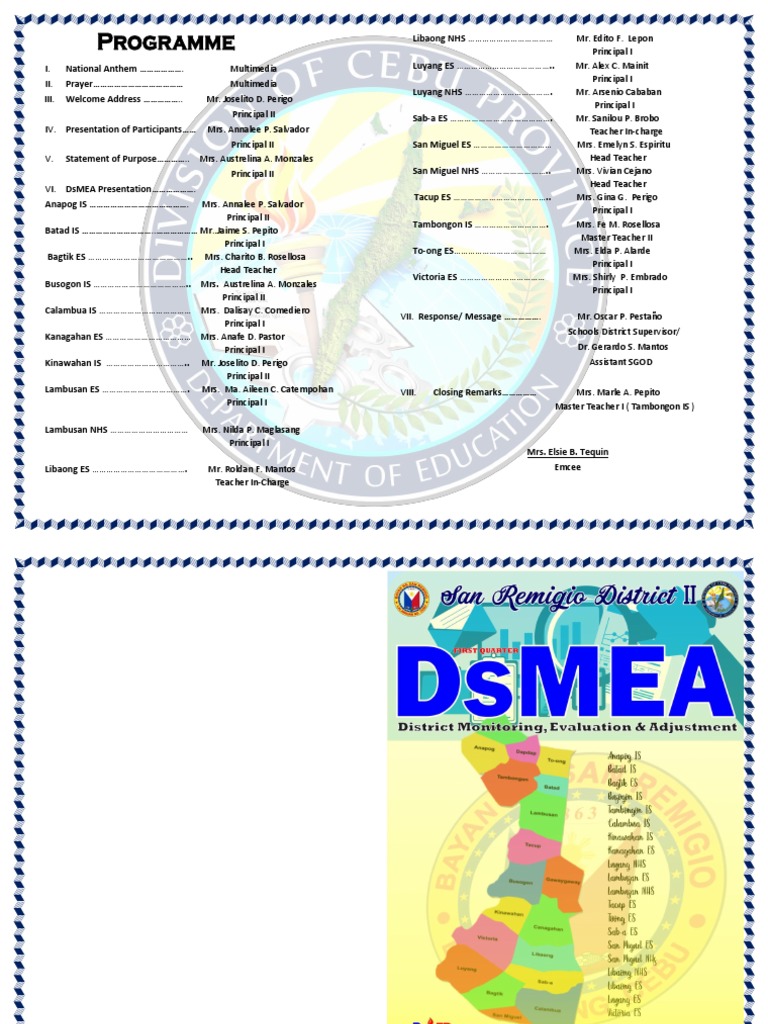 Dsmea Programme | PDF