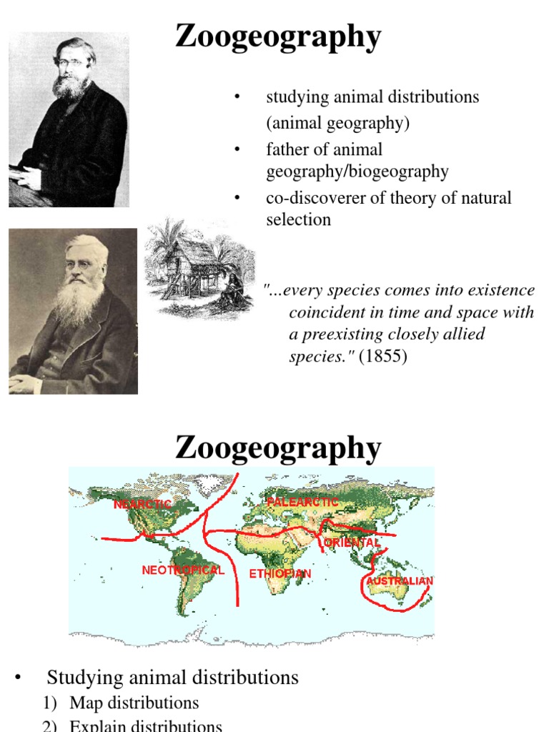 Bio 540 - Zoogeography - sp10 Notes | PDF | Plate Tectonics | Ice Age