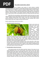 Adat dan Tradisi Suku Biak Papua | PDF