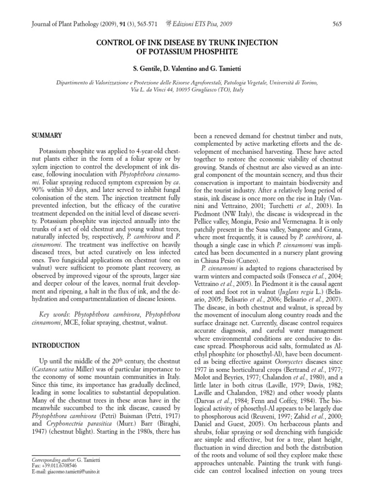 Control of Ink Disease by Trunk Injection of Potassium Phosphite | PDF ...