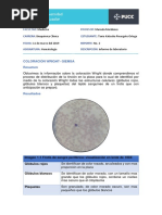 Constantes Corpusculares | PDF | Glóbulo rojo | Lupus eritematoso sistémico