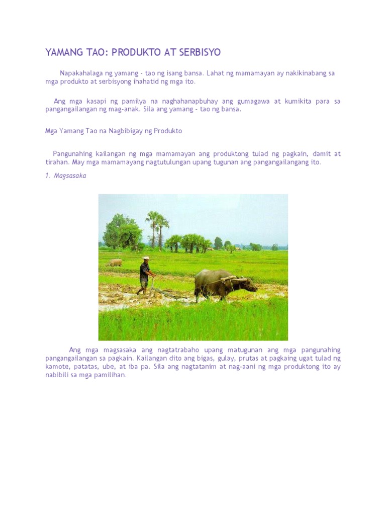 Yamang Tao | PDF