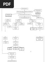 Pathway PPOK | PDF