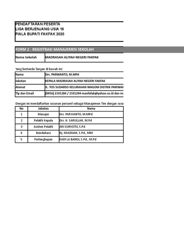 Profil Tim LSP Magefa Tahun 2020 | PDF