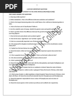 Botany Baby Bullet | PDF