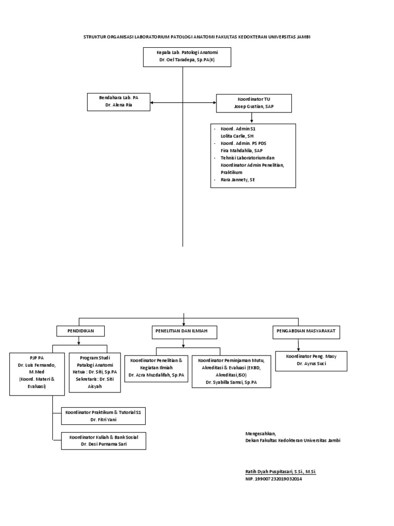 Struktur Organisasi Lab Patologi Anatomi | PDF