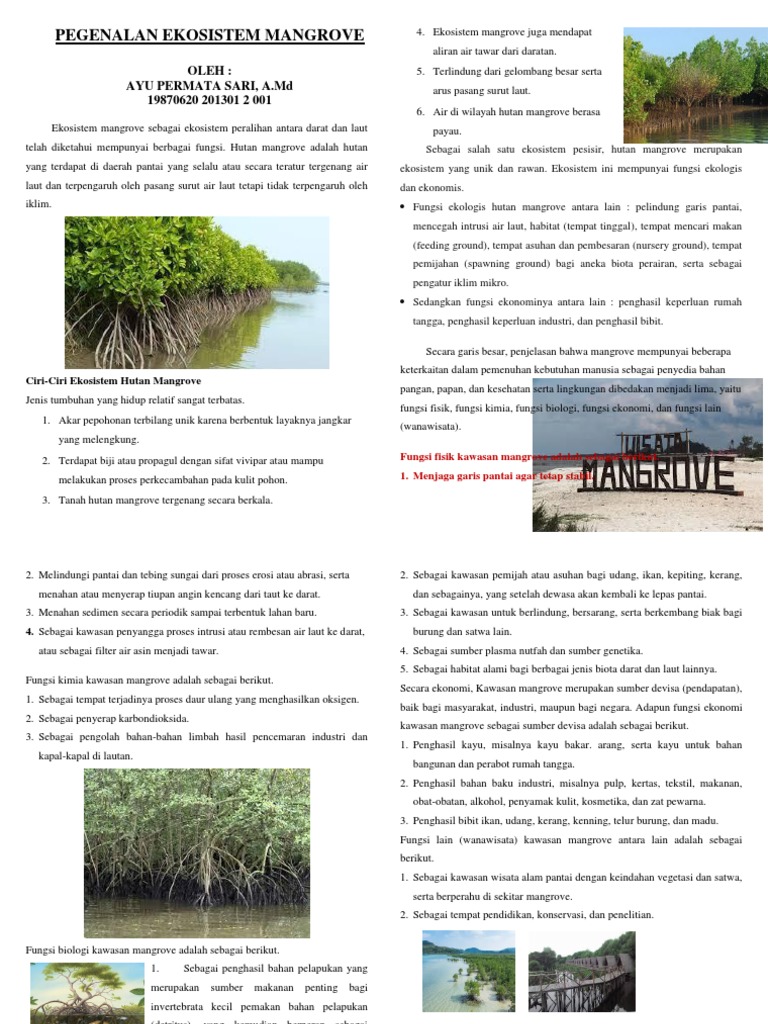 Pengenalan Ekosistem Hutan Mangrove. | PDF