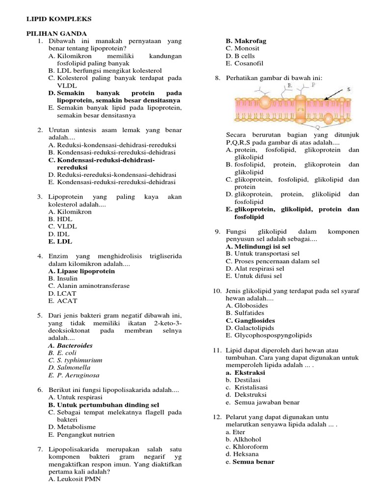 Contoh Soal Biokimia PDF | PDF