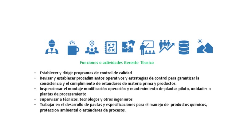 Funciones Generales Gerente Técnico PDF | PDF
