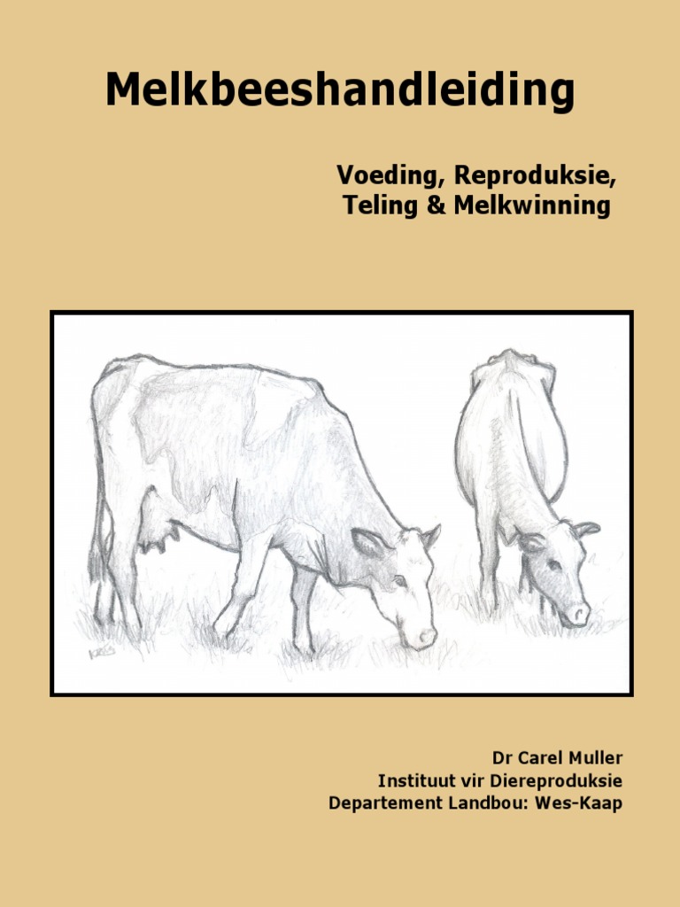 Melkbees - Web 1 | PDF