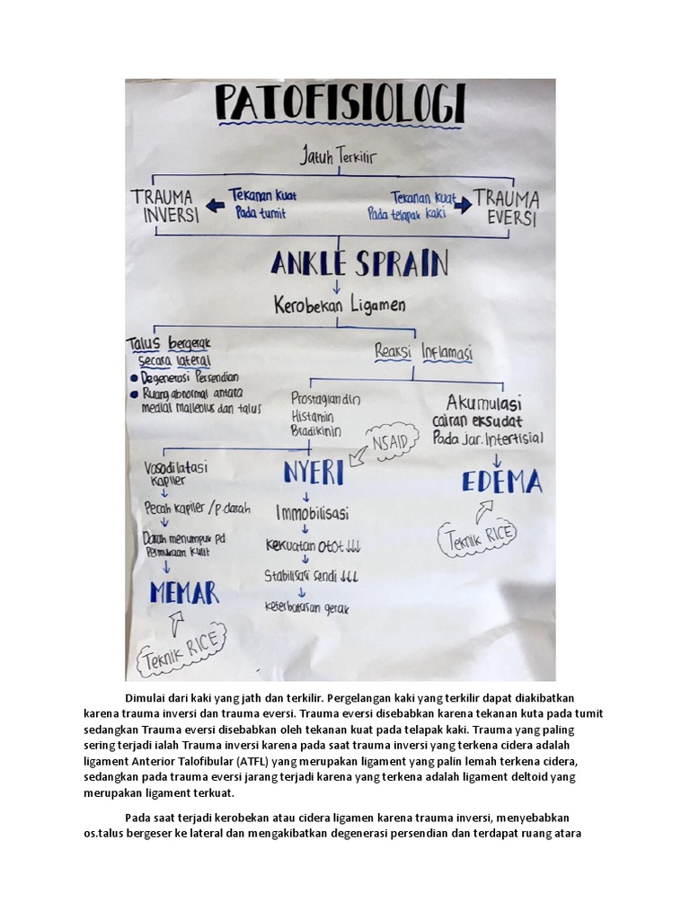 Patof Ankle Sprain | PDF