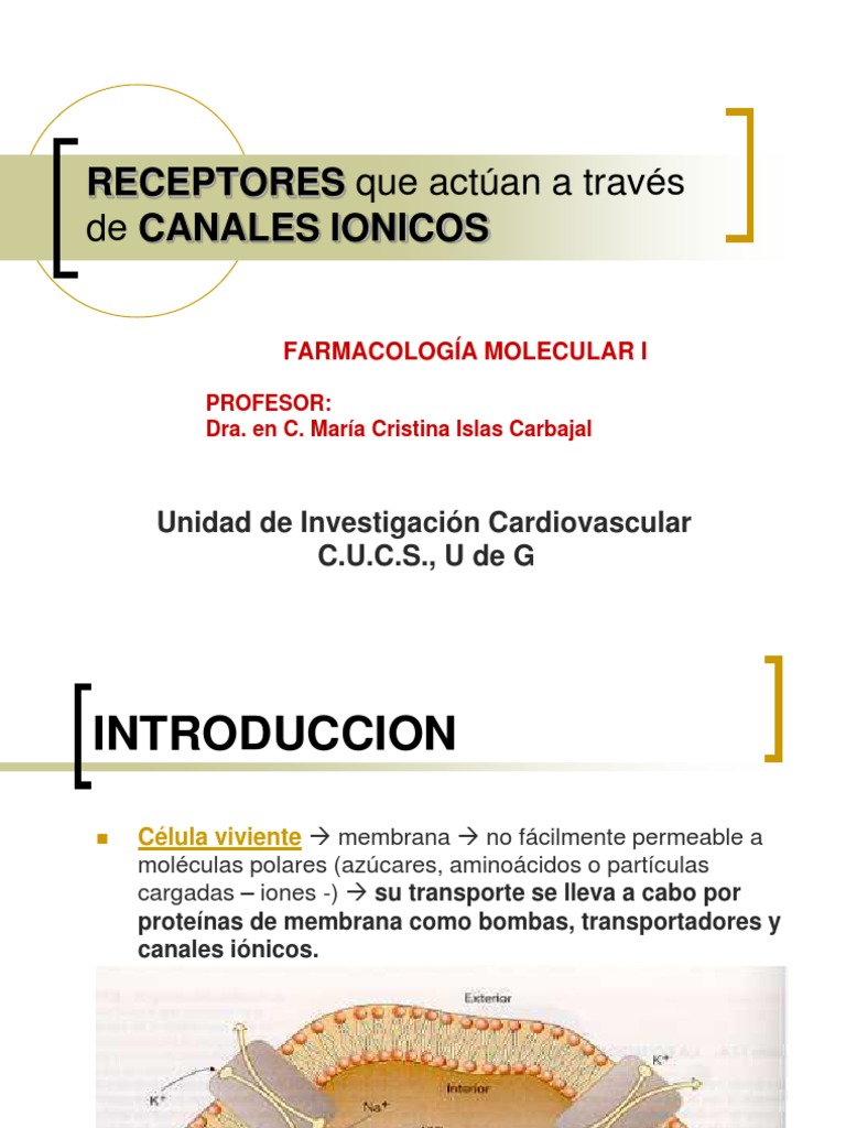 Receptores Canales Ionicos Mcic Pdf Canal De Iones Sinapsis