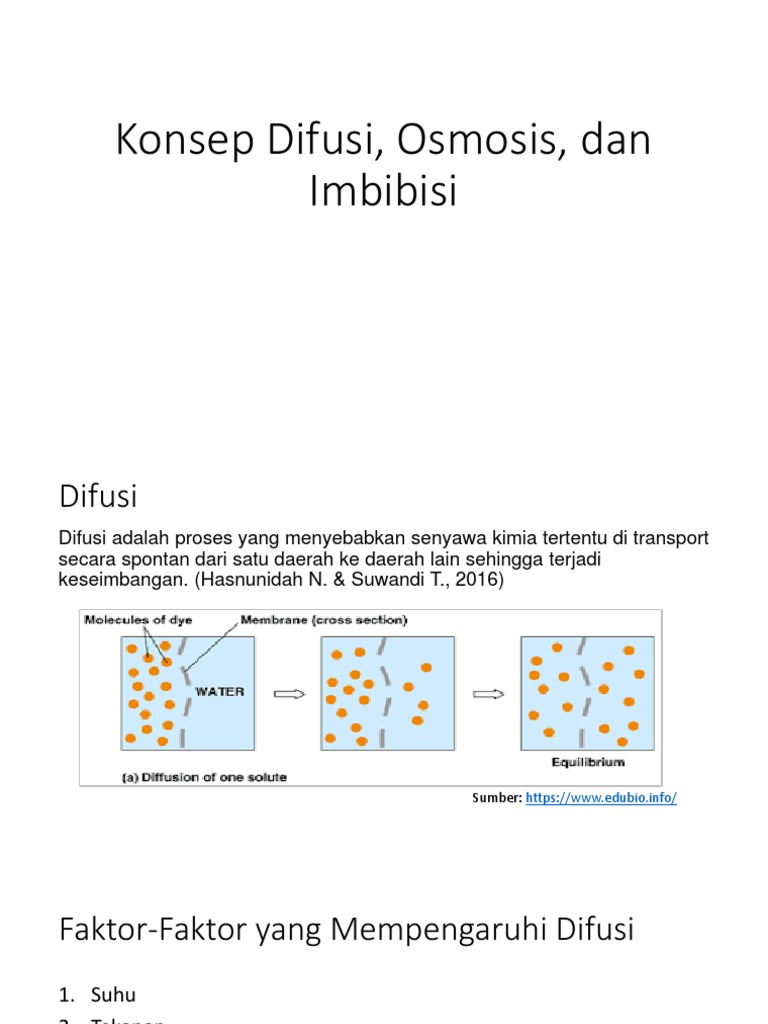 Konsep Difusi, Osmosis, Dan Imbibisi | PDF