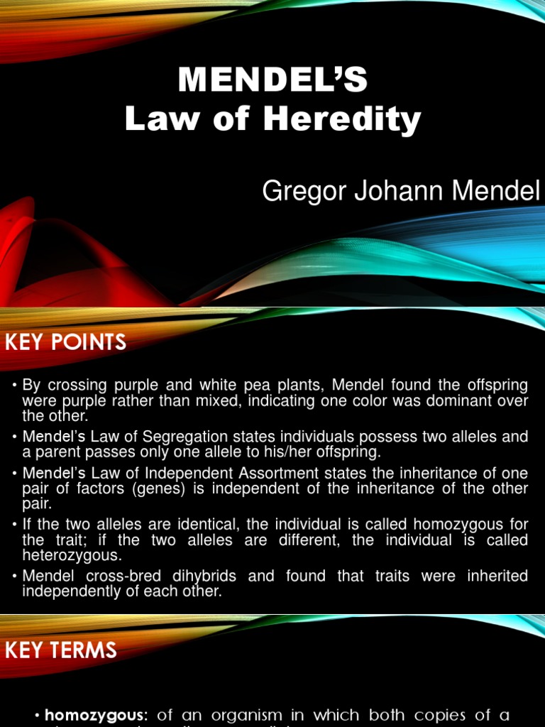 Mendel's Genetic Laws Explained | PDF | Science & Mathematics