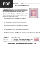 Cell Cycle Pogil Answers | PDF | Cell Cycle | Mitosis