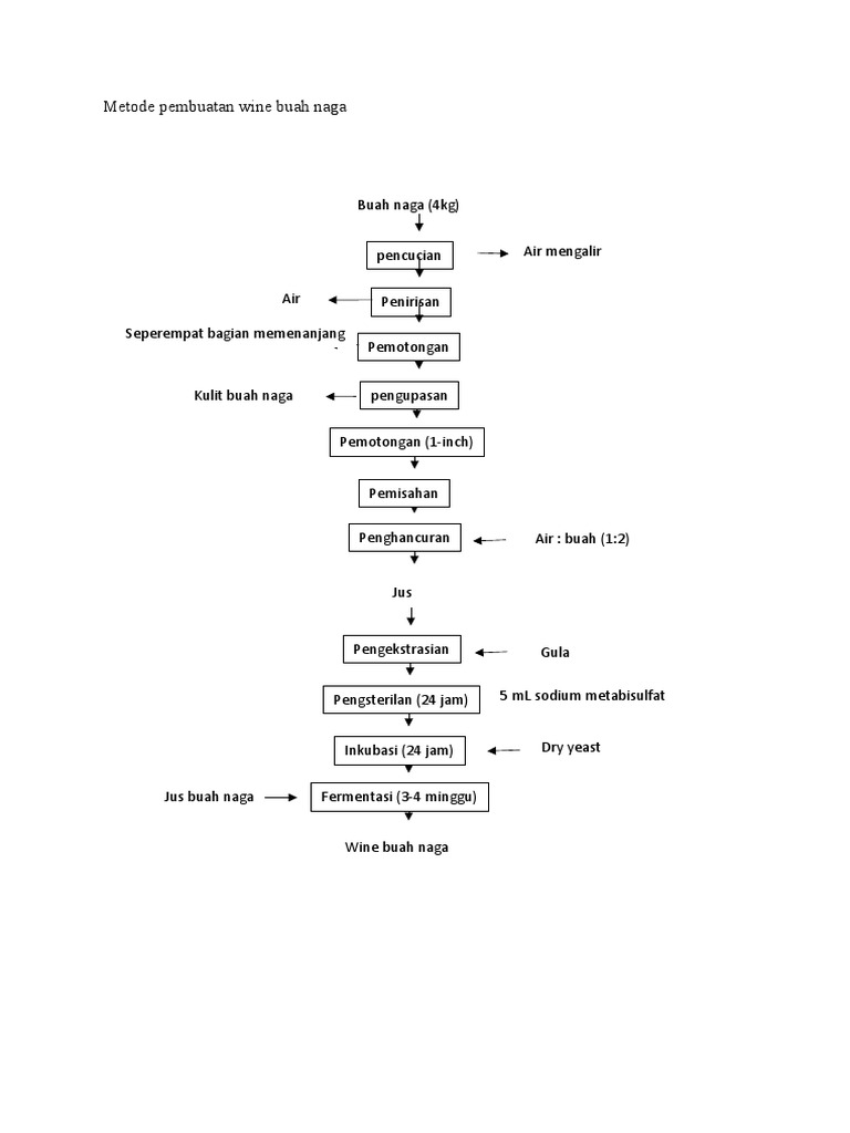 Proses Pembuatan Wine Buah Naga | PDF