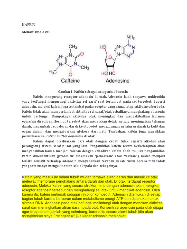 Mekanisme Kerja Obat | PDF