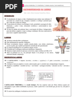 Anatomia da Laringe: Estruturas e Funções | PDF | Laringe | Anatomia humana
