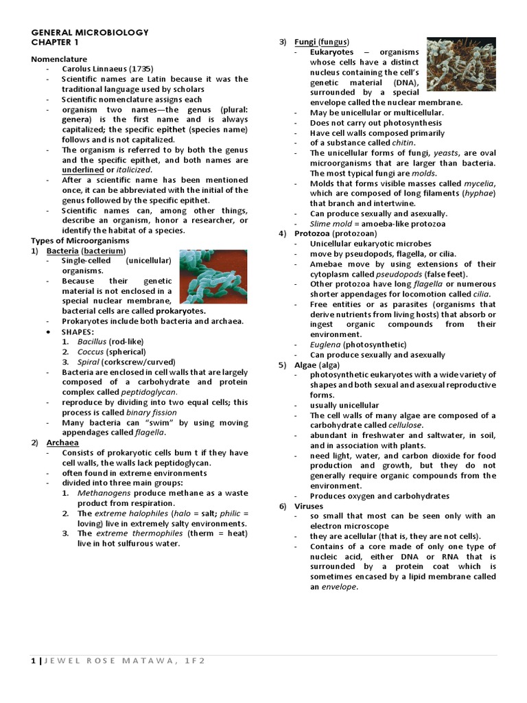 Microbiology: Nomenclature & Organisms | PDF