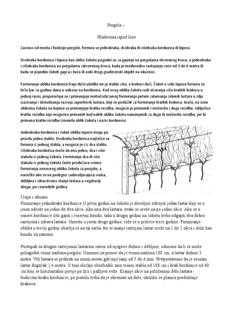 Pergola Rezidba Loze | PDF