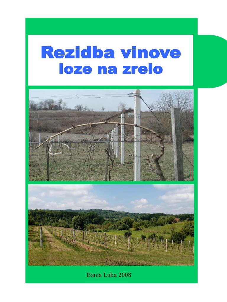 Rezidba Vinove Loze Na Zrelo | PDF