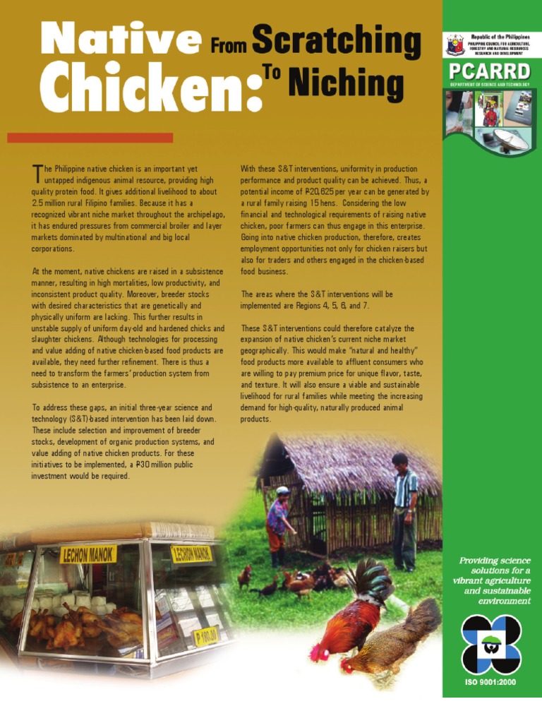 Native Chicken | PDF | Business