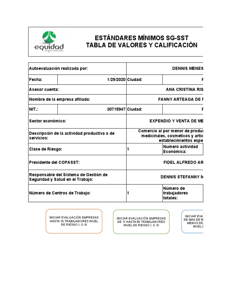 Estándares Mínimos Resolución 312 de 2019 Equidad - XLSX 2020.xls FANNY A | PDF