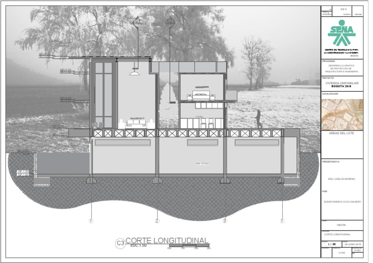 Corte Longitudinal 1 | PDF