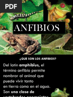 Disección del Muslo de Pollo: Anatomía y Función | PDF | Articulación ...