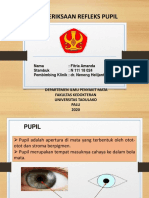 Ukuran Pupil Mata Normal dan Kelainan | PDF