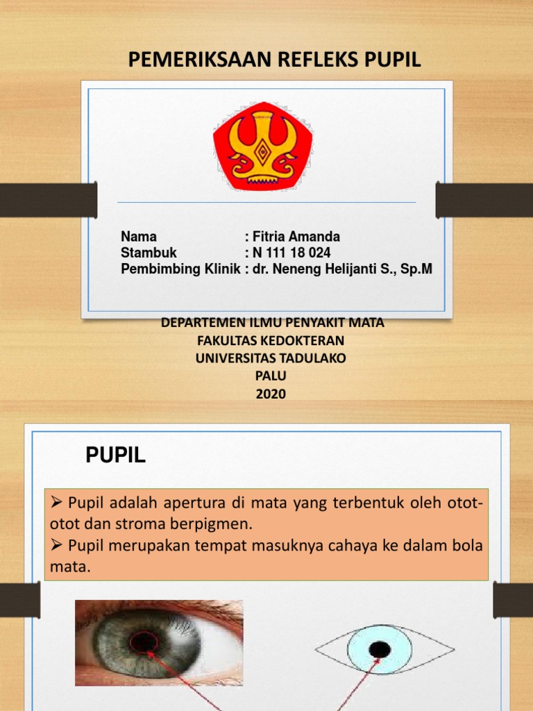 Pemeriksaan dan Anisokoria Pupil | PDF | Sains & Matematika