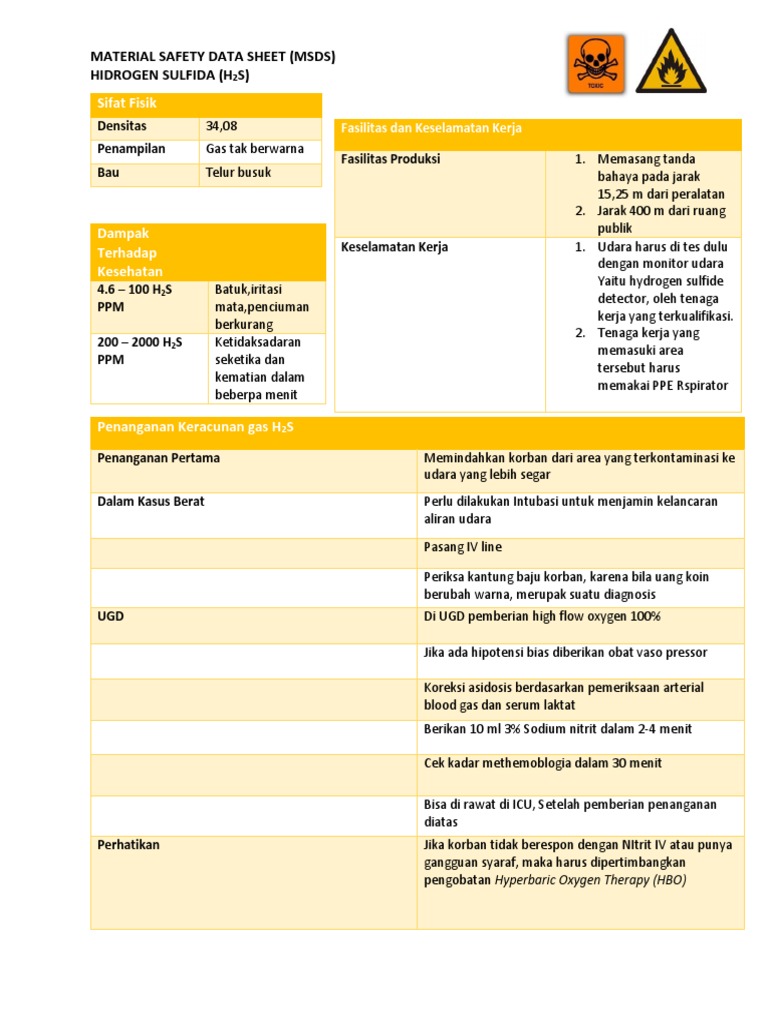 MSDS H2S | PDF