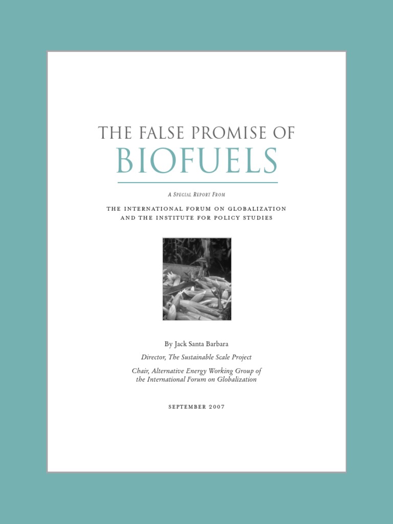 The False Promise of Biofuels | PDF