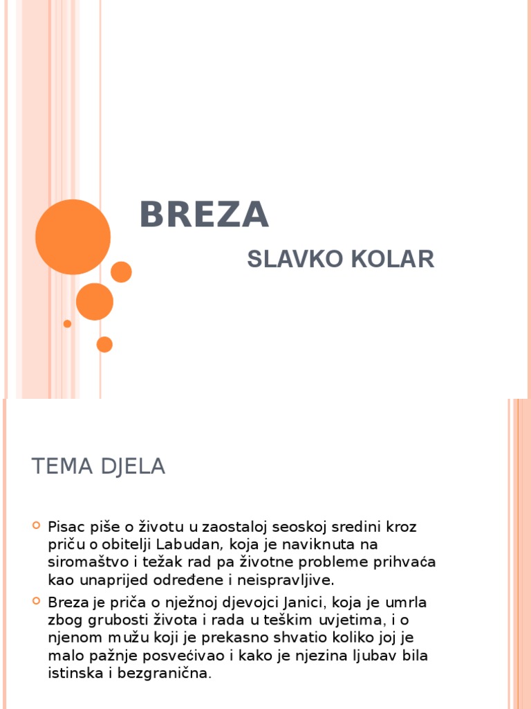 Breza 2003 2007 | PDF