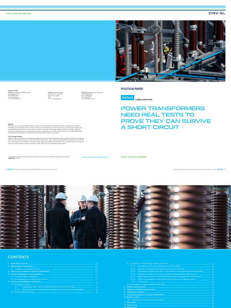 Position Paper Transformers Testing | PDF