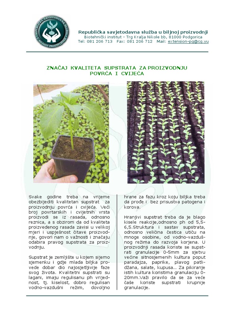 Znacaj Kvaliteta Supstrata Za Proizv Povrca I Cvijeca | PDF