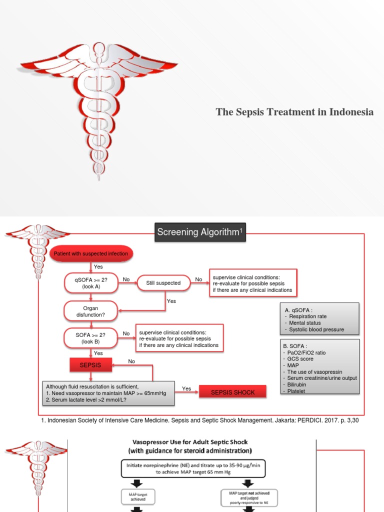 Indonesian Sepsis Management | PDF